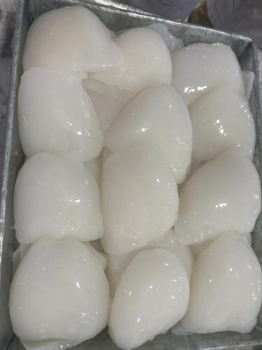 WHOLE CLEANED CUTTLEFISH