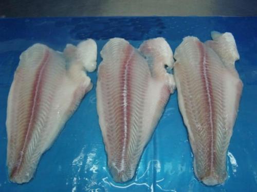 FROZEN UNTRIMMED PANGASIUS FILLET