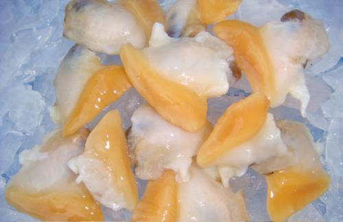 COOKED YELLOW CLAM MEAT